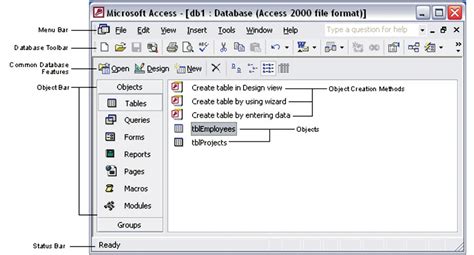 Microsoft Access Module 1 Data Files