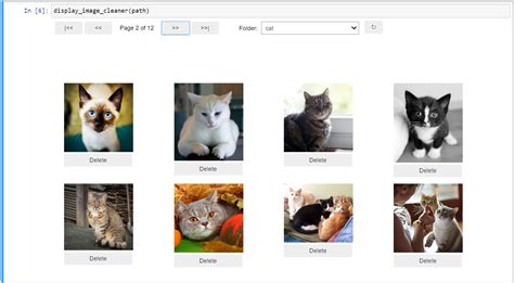 Classifying Cats Vs Dogs A Beginners Guide To Deep Learning By