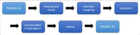 Block Diagram Of The Experimental Protocol Download Scientific Diagram
