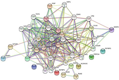 In Silico Aided Molecular Identification Of Potential Pathogenic And Prognostic Differentially