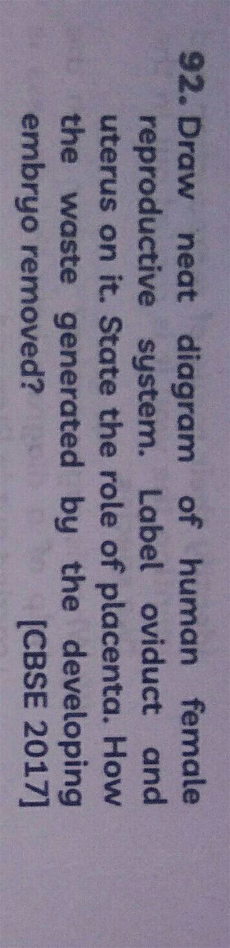 92 Draw Neat Diagram Of Human Female Reproductive System Label Oviduct