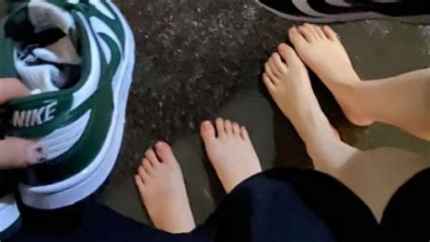 tree tree的是什么梗 坑多多