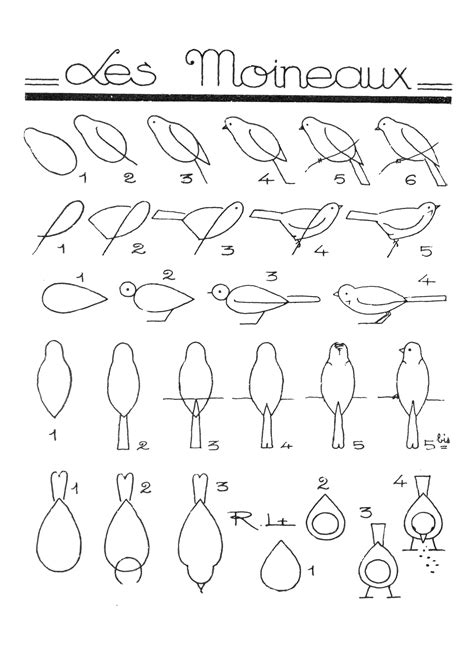 참새를 단계별로 쉽게 그리는 방법 퍼즐게임