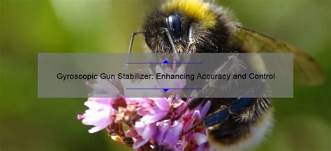 Gyroscopic Gun Stabilizer Enhancing Accuracy And Control