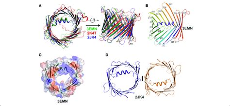 Superposition Of The Three VDAC Structures Published Simultaneously Download Scientific