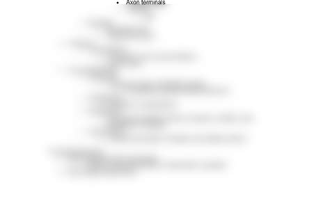 Psych 2aa3 Lecture Notes Fall 2019 Lecture 6 Occipital Lobe