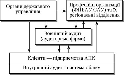 1 1 Особливості організації аудиту в агропромисловому комплексі України