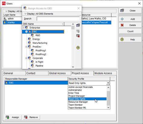 P6 Professional System Administration And User Privileges