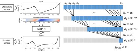 Left Input And Output Of The Fatp N Model The θ Shank Measurements Download Scientific