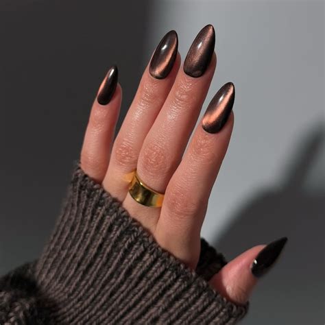 17 Fall Cat Eye Nails Design Ideas