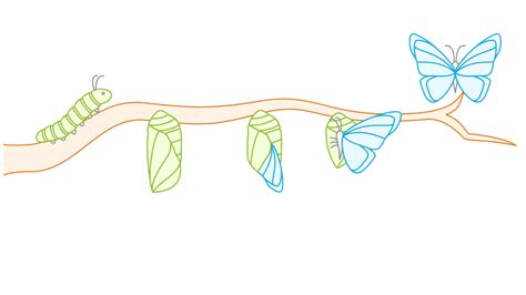 The Coaching Mindset A Simple Yet Powerful Technique In Management