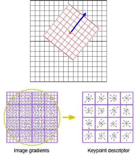 Figure 4 6 From Recognition Using Sift And Its Variants On Improved Segmented Iris Semantic