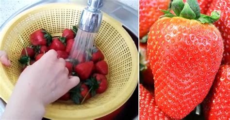 რატომ უნდა გარეცხოთ მარწყვი მარილიან წყალში