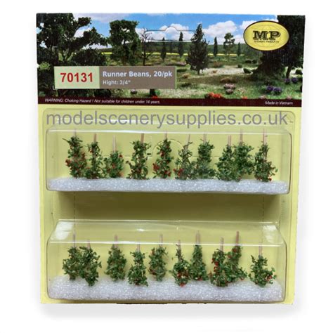 Model Runner Bean Plants Oo