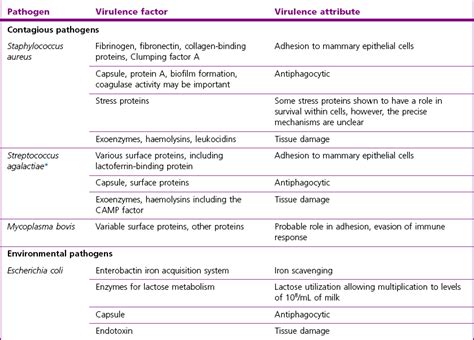 Mastitis Veterian Key