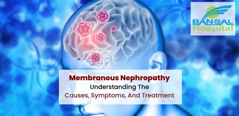 Membranous Nephropathy Understanding Causes Symptoms And Treatment