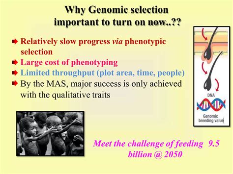 Genomic Selection In Plants Pptx