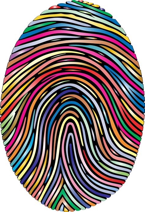 Download Fingerprint Pattern Unique Royalty Free Vector Graphic