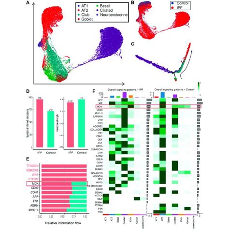 Overview And Communication Results Of Epithelial Cells From Single Cell Download Scientific