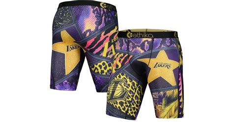 Ethika Purple Los Angeles Lakers Familie Boxer Briefs In Blue For Men