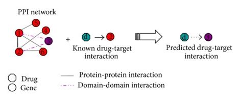 A Schematic View Of Identifying Drug Target Interaction From Molecular Download Scientific