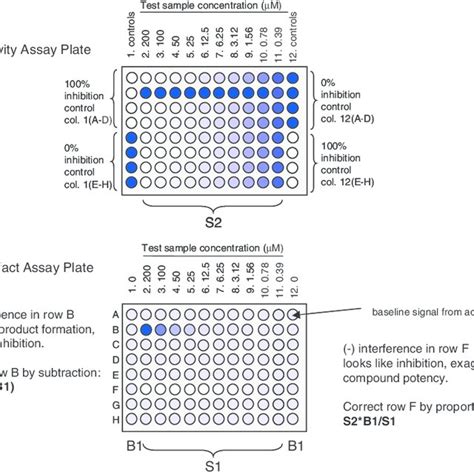 An Example Of The Arrangement Of Samples In The Activity Assay And Download Scientific Diagram