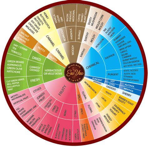 Wine Tasting Guide Chart Aroma