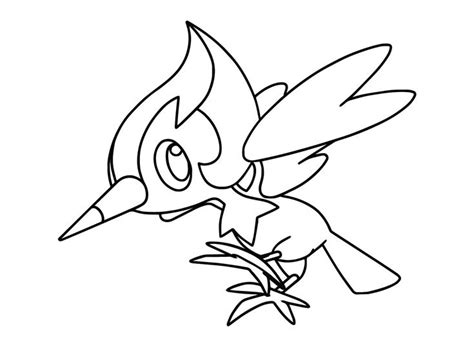 Pokemon Pikipek Evolution Coloring Page