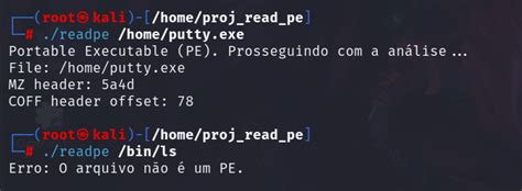 Github Louiselalannereadpe Project Developed To Analyze A Portable Executable File On