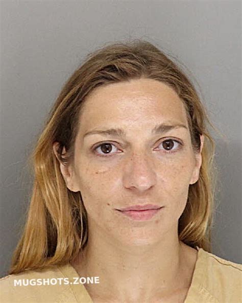 Damico Denise 07 30 2023 Hamilton County Mugshots Zone