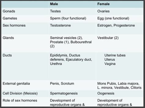 Exam Flashcards Quizlet