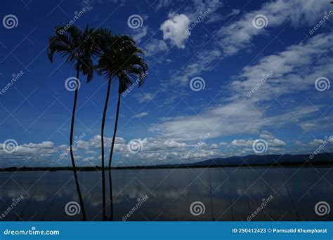 Paisajes Lacustres Cielos Azules Cocoteros Y Varas De Pesca Imagen De