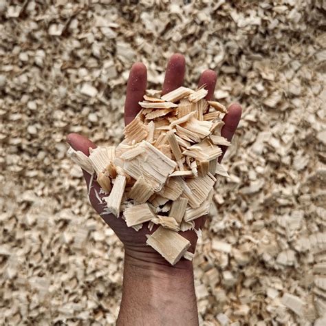 Phil Attends World Conference On Timber Engineering Moriyama Teshima Architects