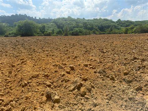 ປະກາດຂາຍດິນກະສິກຳ ບ້ານ ນາສາ ເມືອງ ສັງທອງ ນະຄອນຫຼວງວຽງຈັນ Property For Sale Vientiane Laos