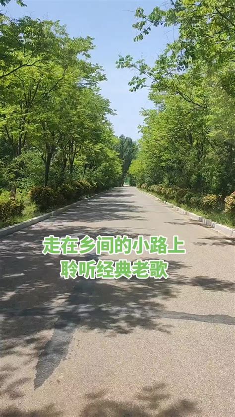 美丽乡村行走在乡间的小路上充满了诗情画意平静而淡泊温柔而深情还有心里一直向往的诗和远方 生活巡游记 摄影视频 搜狐视频