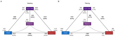 Code And Data For Hybridexpress An Rbioconductor Package For Comparative Transcriptomic