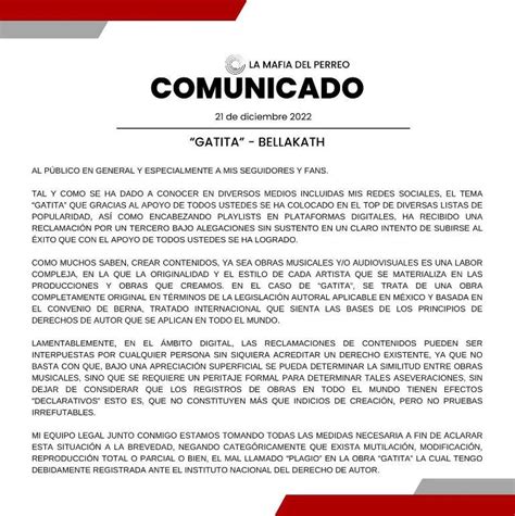 Gatita de Bellakath está a salvo regresó a plataformas tras conflicto por presunto plagio