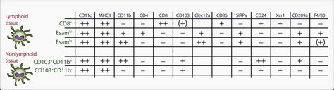 Development And Function Of Dendritic Cell Subsets Immunity