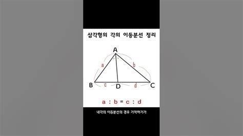 삼각형의 각의 이등분선 정리 외각 헷갈리면 꼭 보셈 Youtube