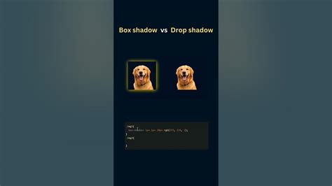 Box Shadow Vs Drop Shadow Html Css Youtube