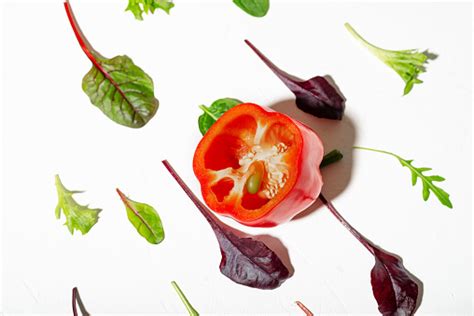 흰색 배경에 다른 샐러드와 붉은 피망의 혼합 아루굴라 잎 붉은 차드 시금치 채식주의 개념 0명에 대한 스톡 사진 및 기타 이미지 Istock