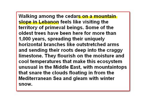 Javascript Use Css Or Js Highlight Text With Half Height Stack Overflow