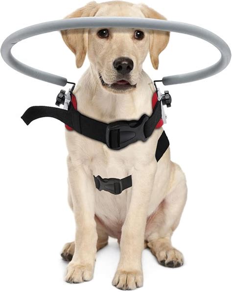 Cão Cego Halo Coleira Para Cães Com Baixa Visão Anel De Colete Para Animais De Estimação