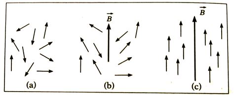 What Is Paramagnetism Explain It On The Basis Of Electron Theory