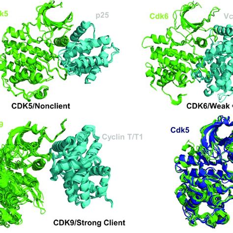 Rigidity Analysis Of Thermal Unfolding In The Cdk Structures The Download Scientific Diagram