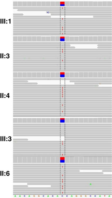 Screen Capture For Whole Genome Sequencing Read Depth And Read Download Scientific Diagram
