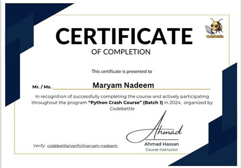 maryam nadeem on linkedin python coding professionaldevelopment learning certification