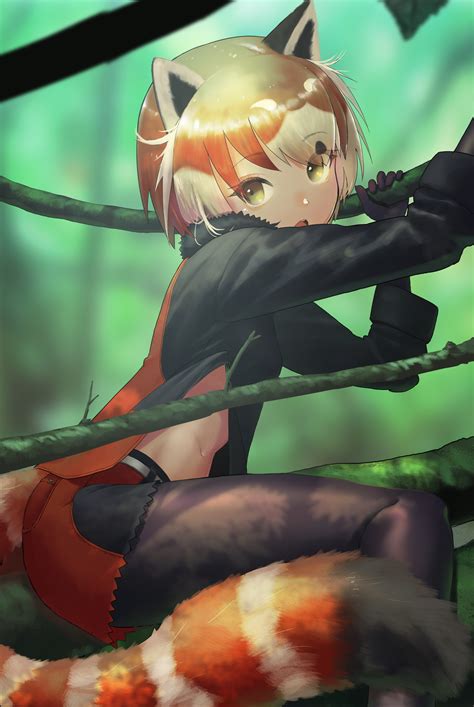 Lesser Panda Kemono Friends Image By Pixiv Id 41961522 3454620