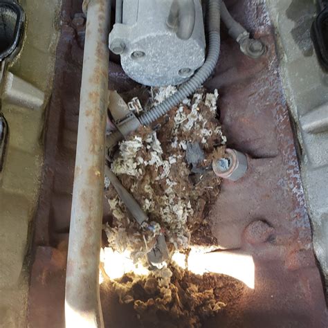 Aftermarket Knock Sensors IH8MUD Com Forum Toyota Lexus Off Road Community Discussions