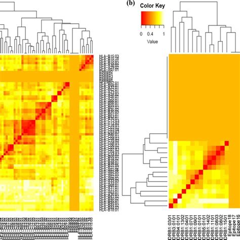 Mhc Clustering Based On Binding Specificity A Heat Map Of Five Mhc Download Scientific Diagram